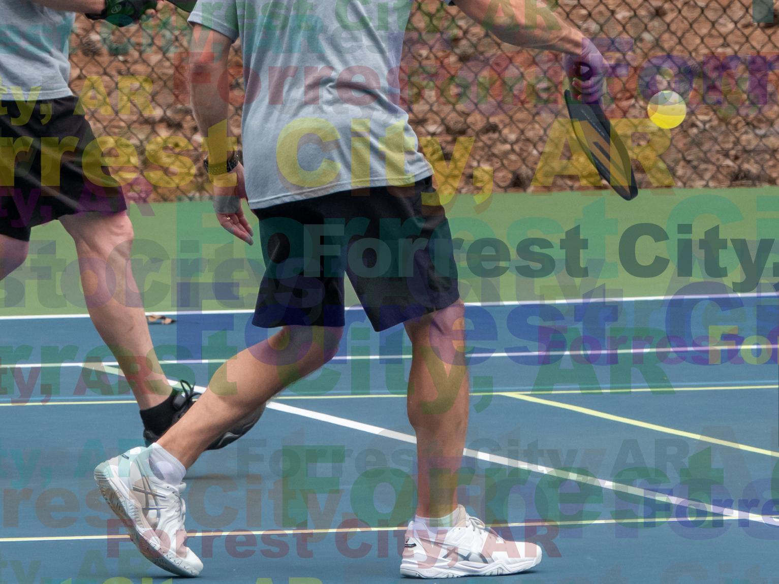 Forrest City Arkansas Pickleball Courts & Lessons
